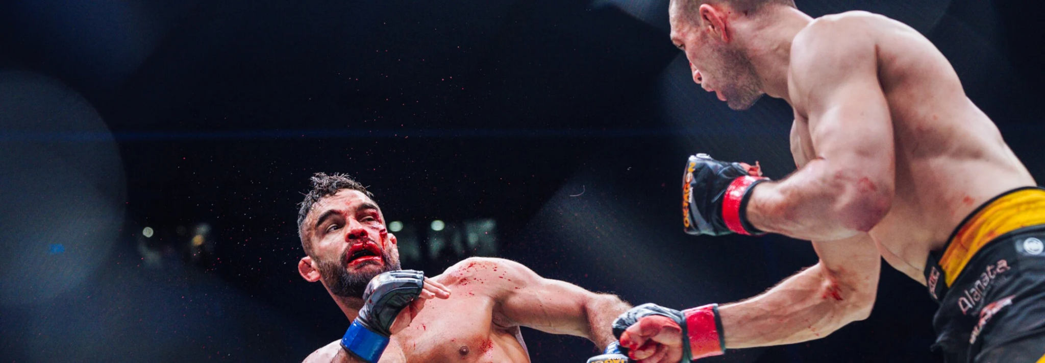 "OKTAGON MMA 50: Spektakuläre Kämpfe und Neue Champions Gekrönt in ...